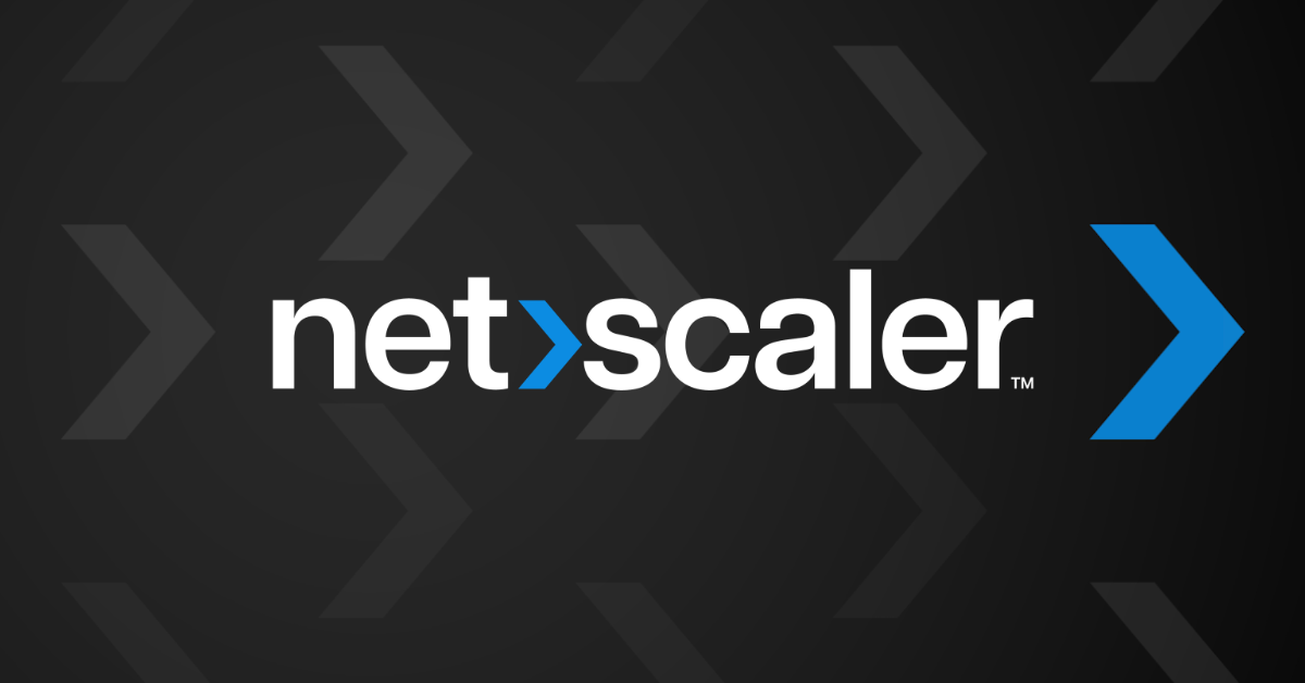 2023: The year the NetScaler brand was (re)born
